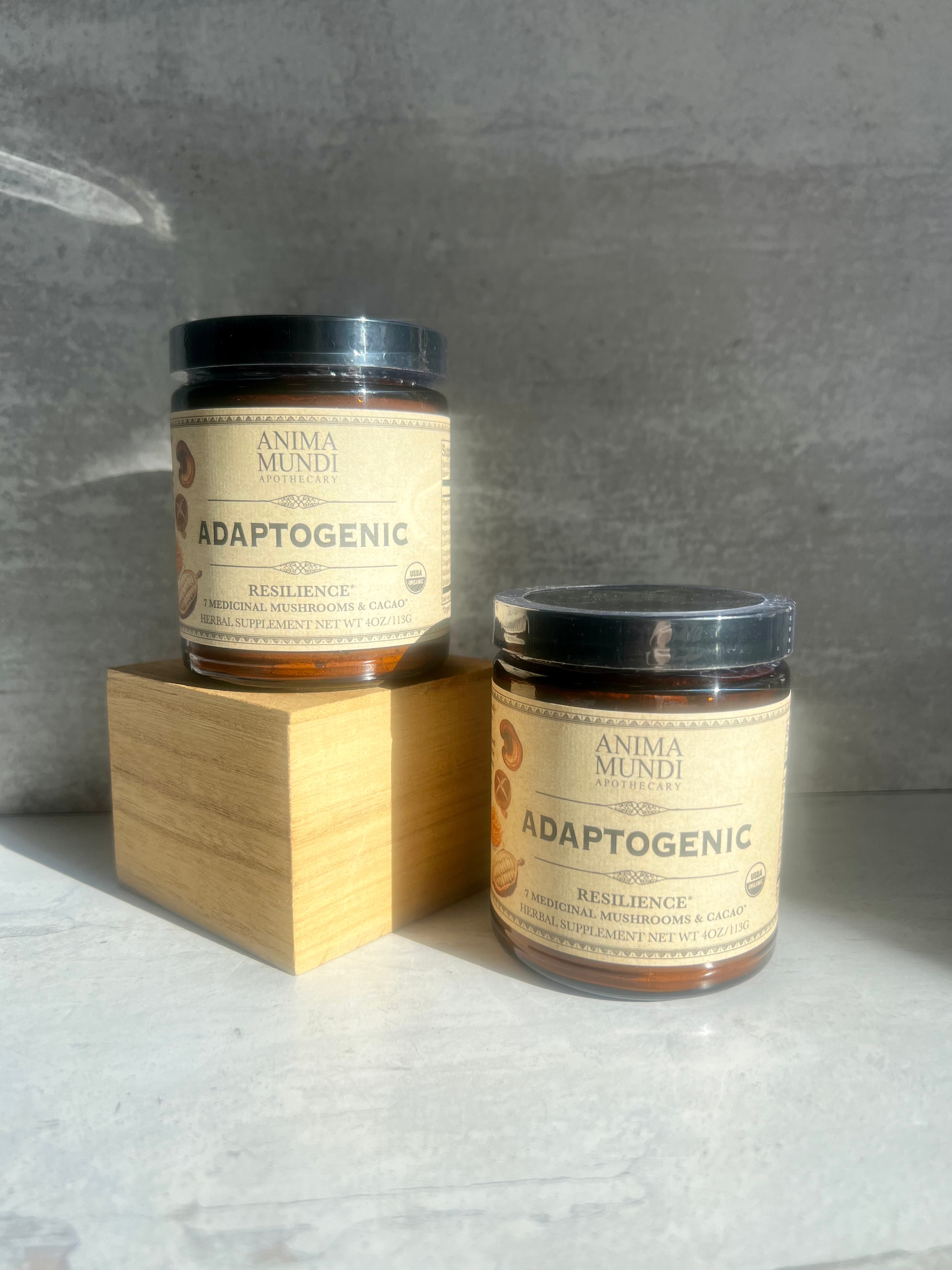 Adaptogenic Powder: 7 Medicinal Mushrooms + Cacao – Spirit + Soul Studio